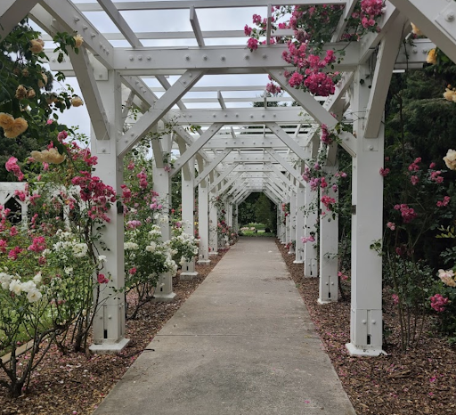 Lacy Park - MySGV